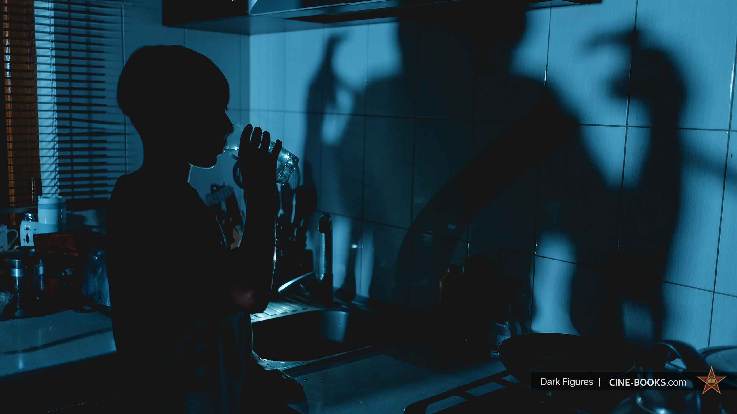 Enjoy ’Dark Figures’ in the unique format on CINE-BOOKS.com!